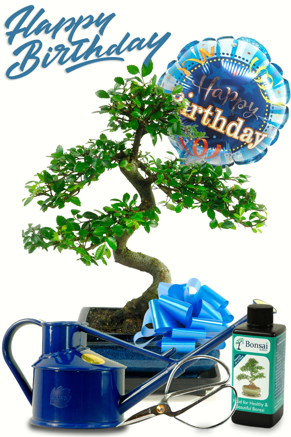 Gift for Him | Bonsai Tree Starter Kit - Eco friendly & FREE delivery