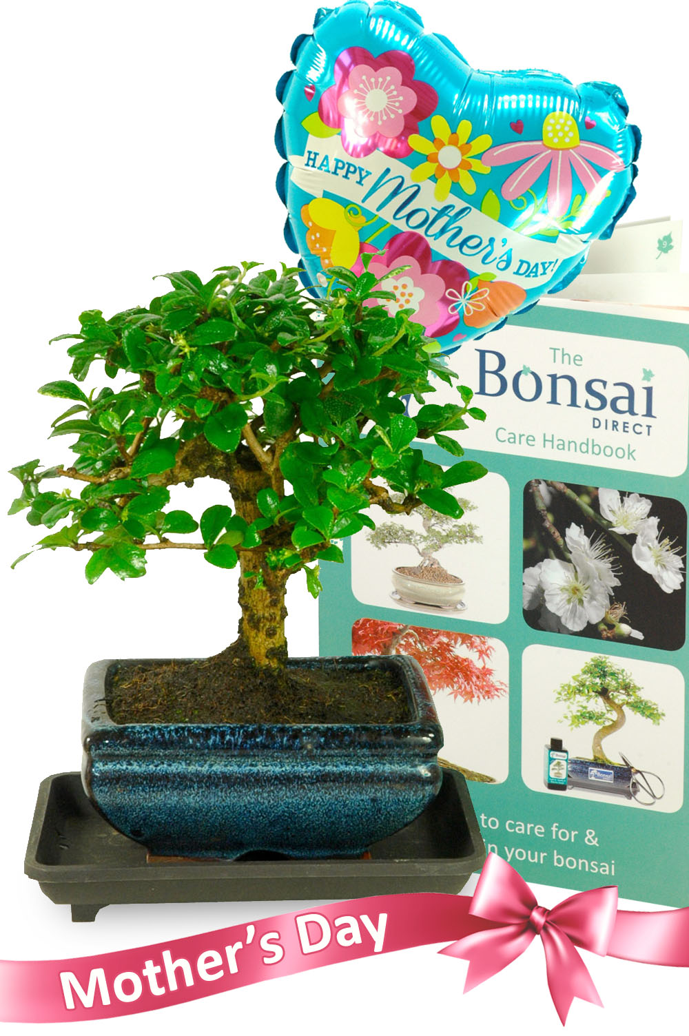 Happy Mothering Sunday Bonsai Gift
