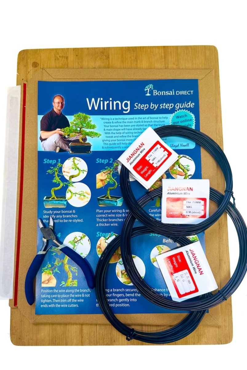 Bonsai Wiring Accessories for Sale | Bonsai Wire & Kits