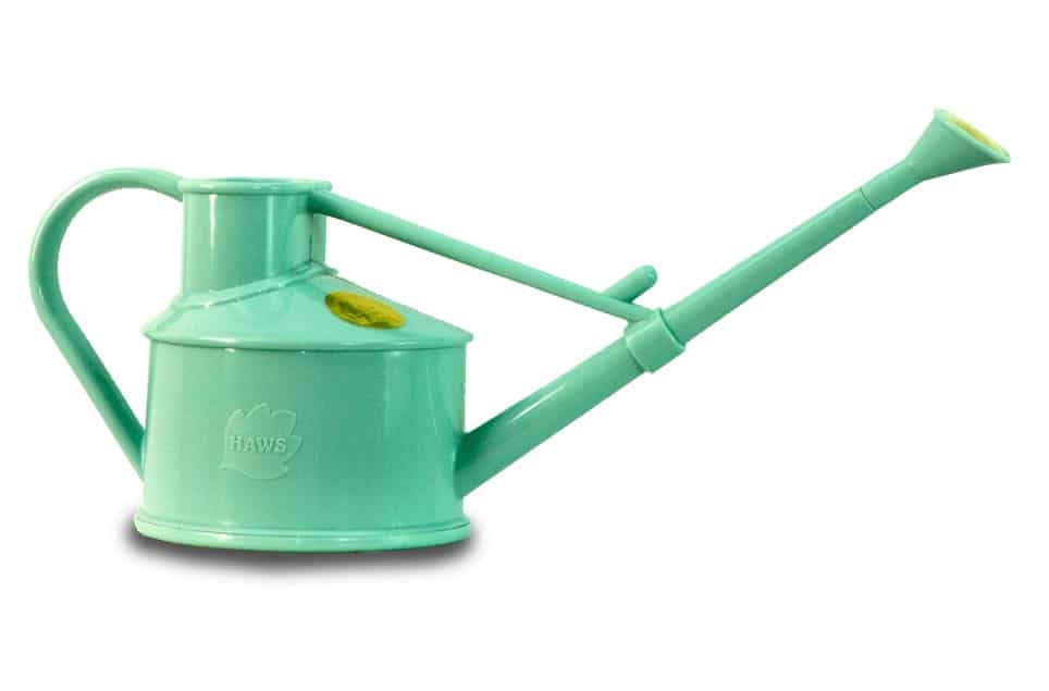 Milestone's Beginners Medium Twisty Flowering Tea Tree Bonsai Kit UK