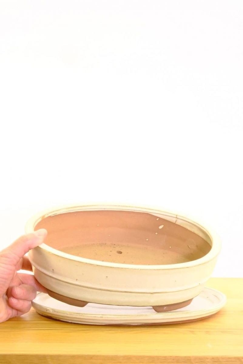 26cm (10 inch) Cream Oval Ceramic Large Bonsai Pot & Tray