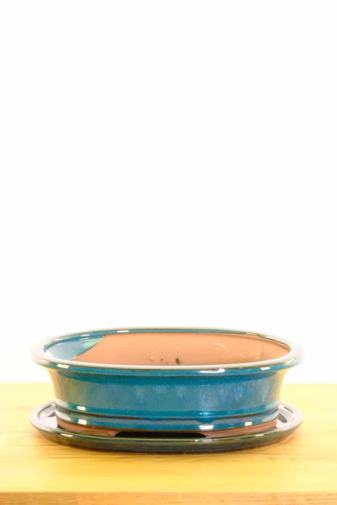 27cm (10 inch) Cyan Oval Bonsai Pot & Tray - Beautiful Styling