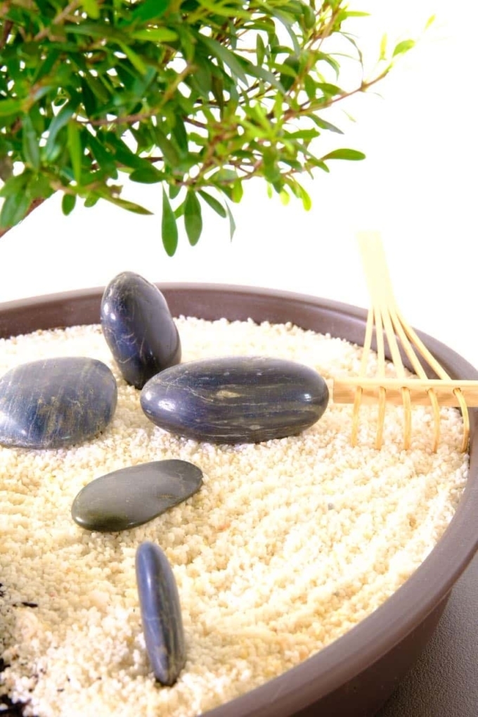 Easy care beginners bonsai Zen Garden with polished black rocks