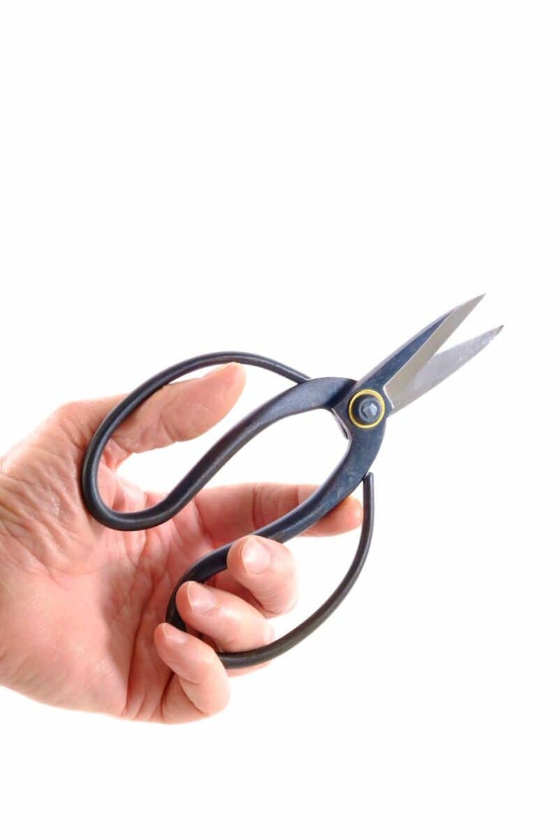 Top Quality Chinese Bonsai Root Shears for sale