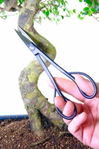 Bonsai Branch Cutters & Pruning Scissors | Bonsai Tree Cutters