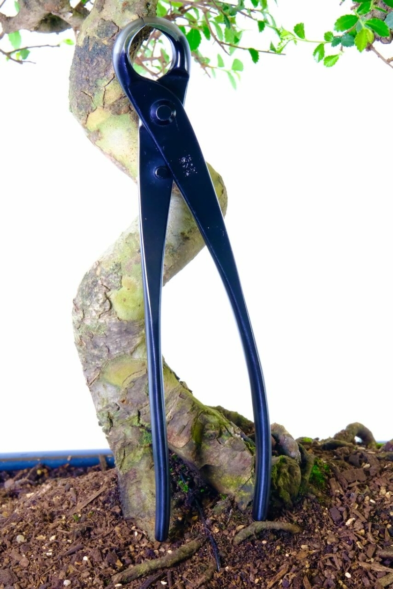 Bonsai Knob Cutter 210mm | High Quality Tools