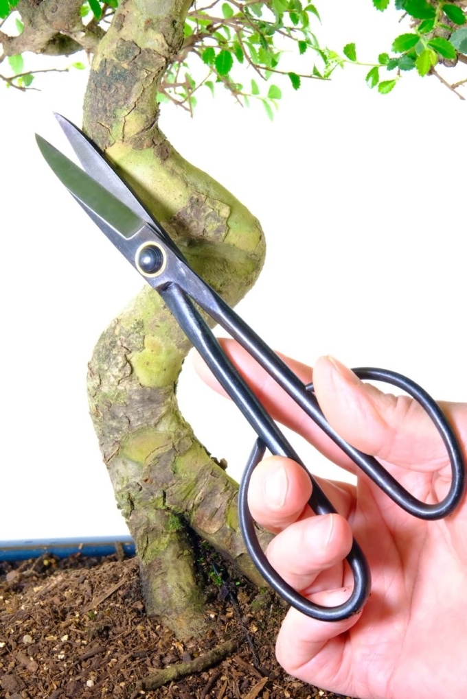 Bonsai Branch Cutters & Pruning Scissors | Bonsai Tree Cutters