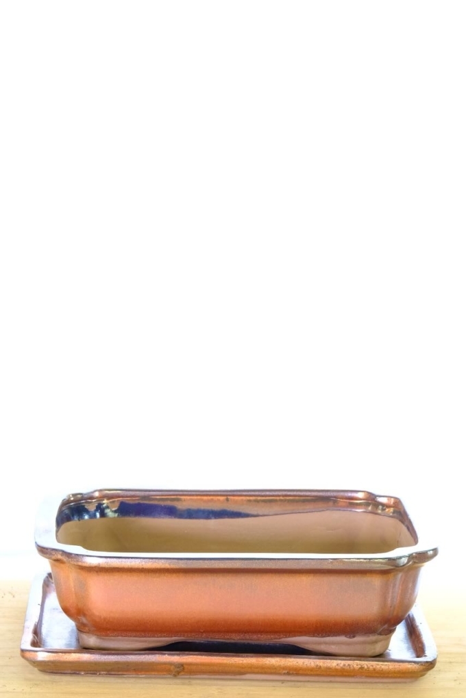 Fluted Bonsai Pot with Tray | 21cm Bronze Oxide Glaze
