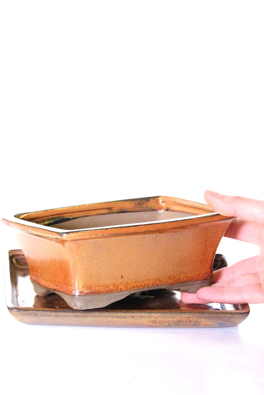 Bronze Bonsai Pot with Tray | 18cm Sparkly Bronze Glaze