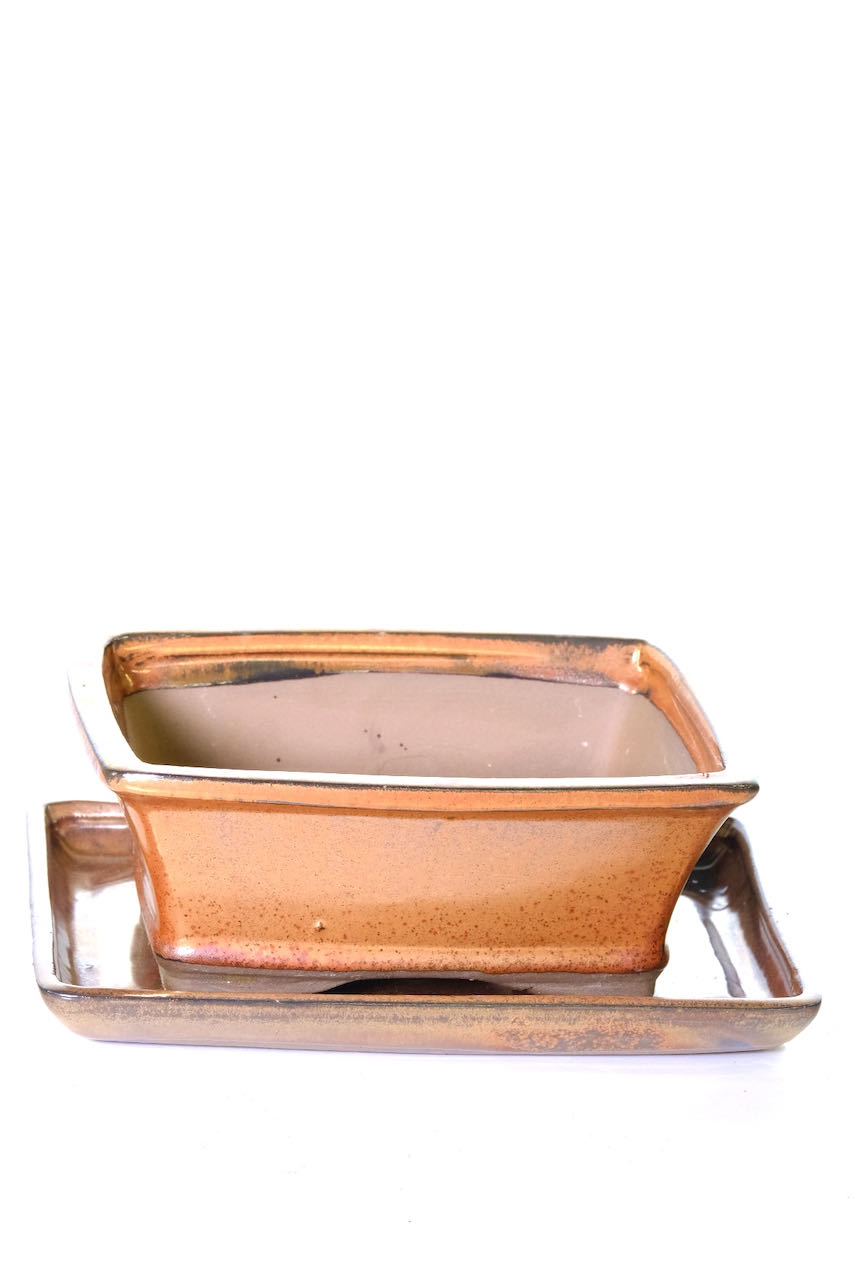 Bronze Bonsai Pot with Tray | 18cm Sparkly Bronze Glaze