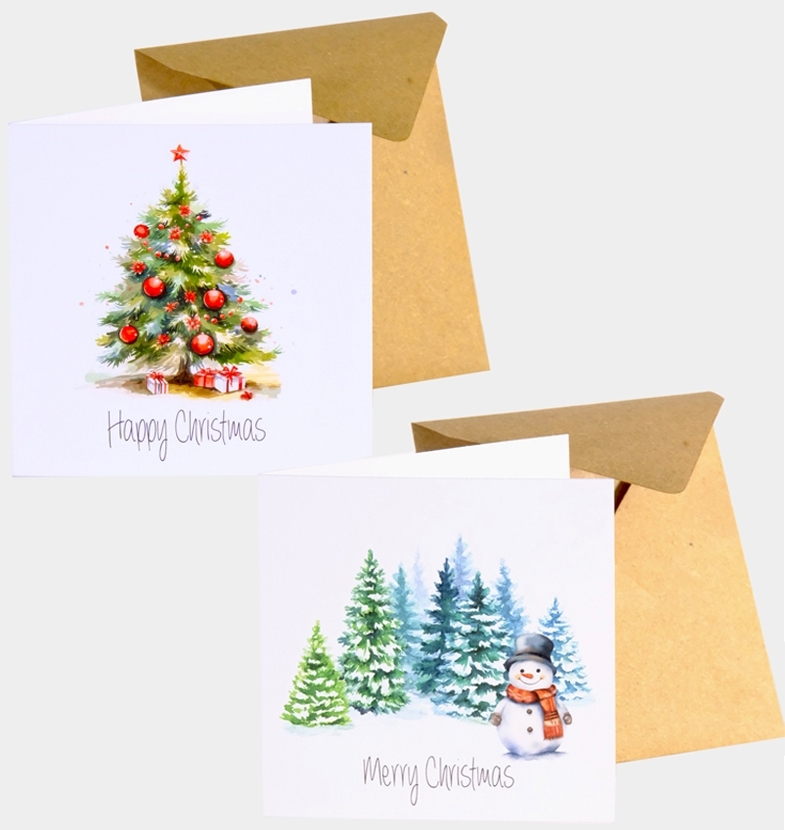 Bonsai Tree for Christmas - The Ideal Unusual Christmas gift Idea