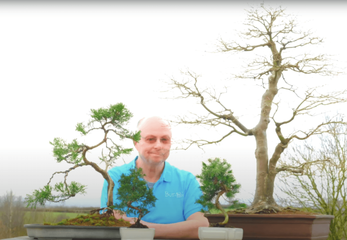 Indoor vs. Outdoor Bonsai: What's the REAL Difference?